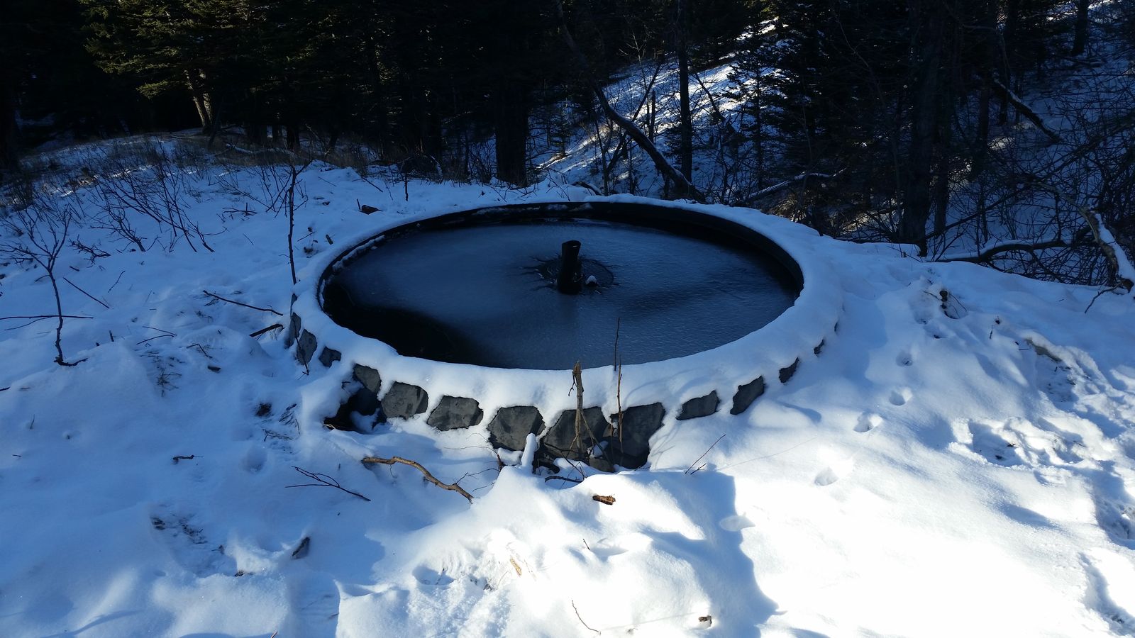 The Best Cattle Waterers for Winter - Countryside